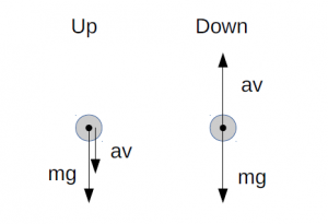 Speed of Falling Object Problem - Blog - AssignmentShark